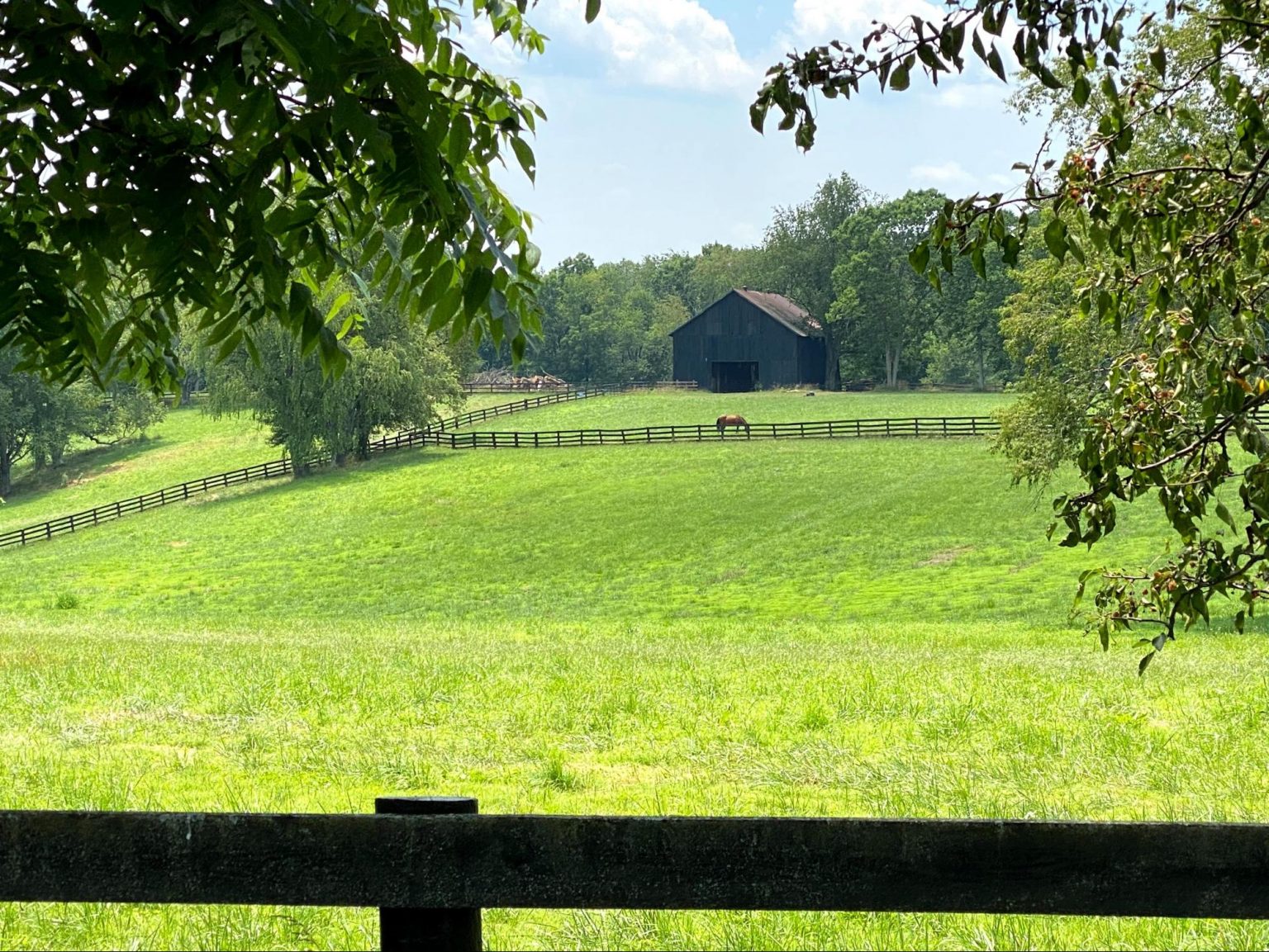 72 Kentucky Facts And Weird Laws 2026